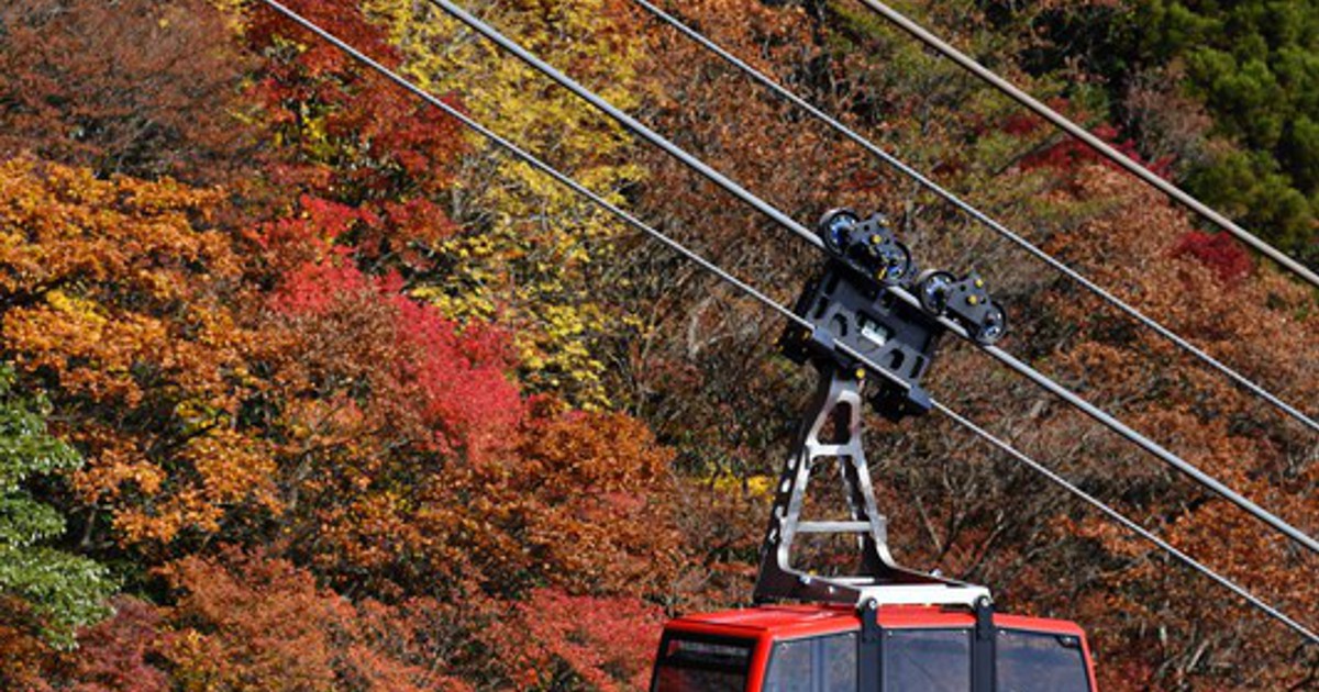 In Photos: Fall foliage at its finest on Japan's Mt. Gozaisho - The ...