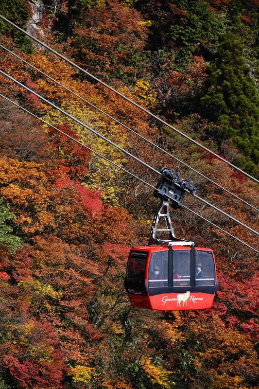 In Photos: Fall foliage at its finest on Japan's Mt. Gozaisho - The ...