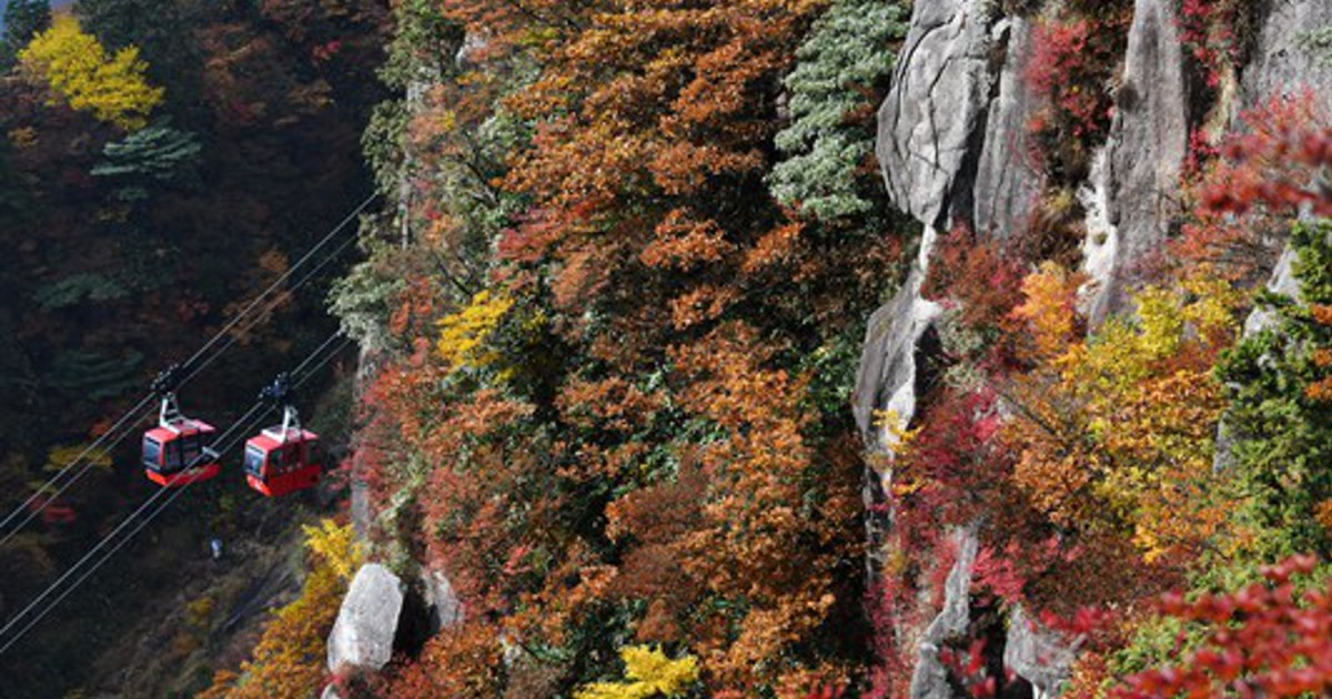 In Photos: Fall foliage at its finest on Japan's Mt. Gozaisho - The ...