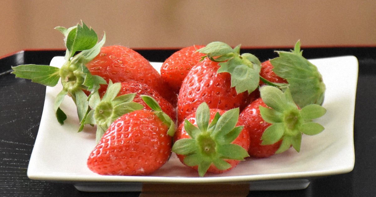 Ripe for the picking: Cute name sought for new Japan strawberry variety ...