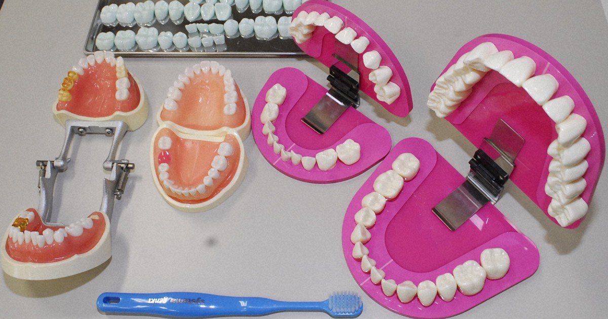 Osaka Univ. crowdfunds to make big dental models for schools for ...