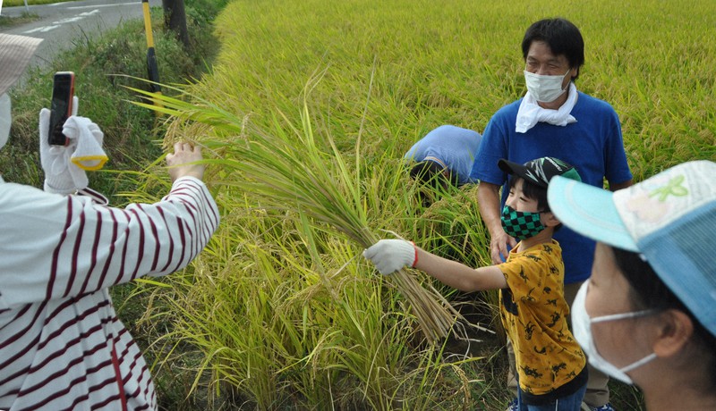 Rice growing project in central Japan helps support single-mother ...