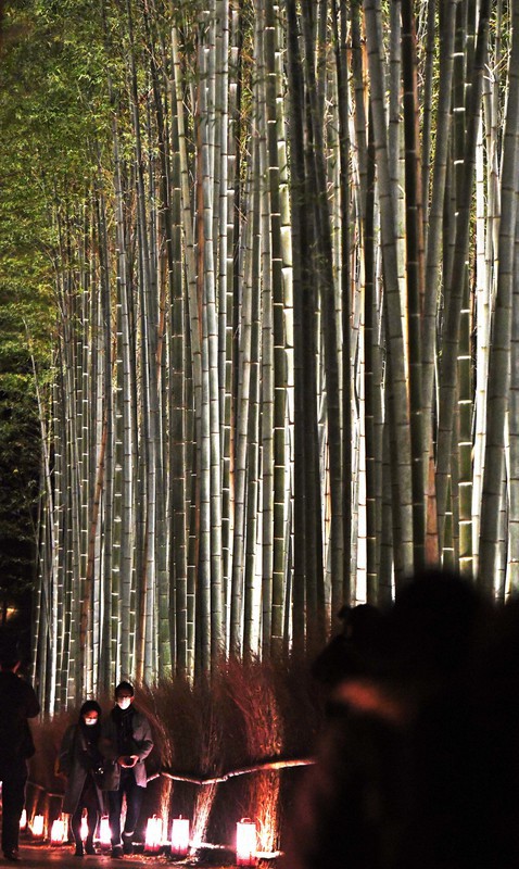 In Photos: Tourist attractions lit up in final Kyoto Arashiyama ...