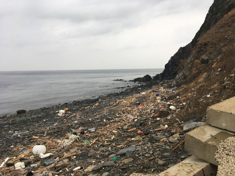 Marine litter-detecting robots with underwater capability developed by ...