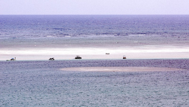 Hawaii: Don't burn Christmas trees at sacred Oahu sandbar - The Mainichi