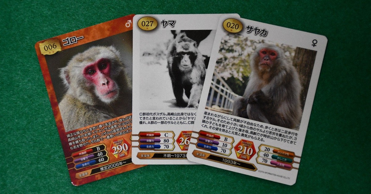 Japanese zoo's trading cards featuring famous monkeys a smash hit - The ...