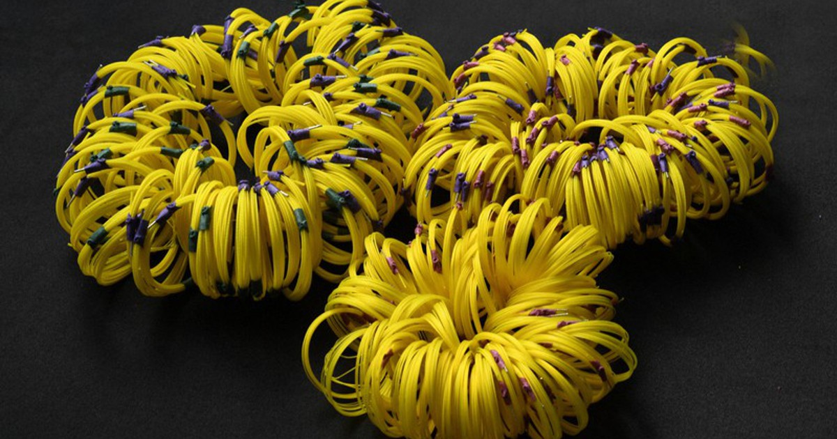 In Photos: Special silk strings created for Japanese instruments using ...