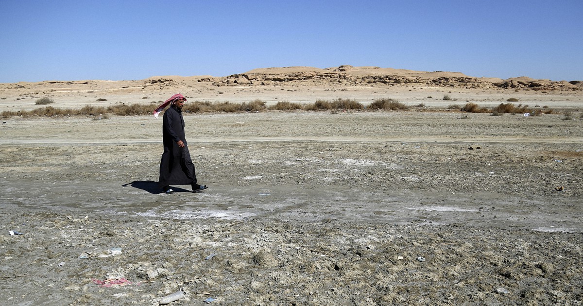 Iraq's second largest lake drying up, turning up dead fish - The Mainichi