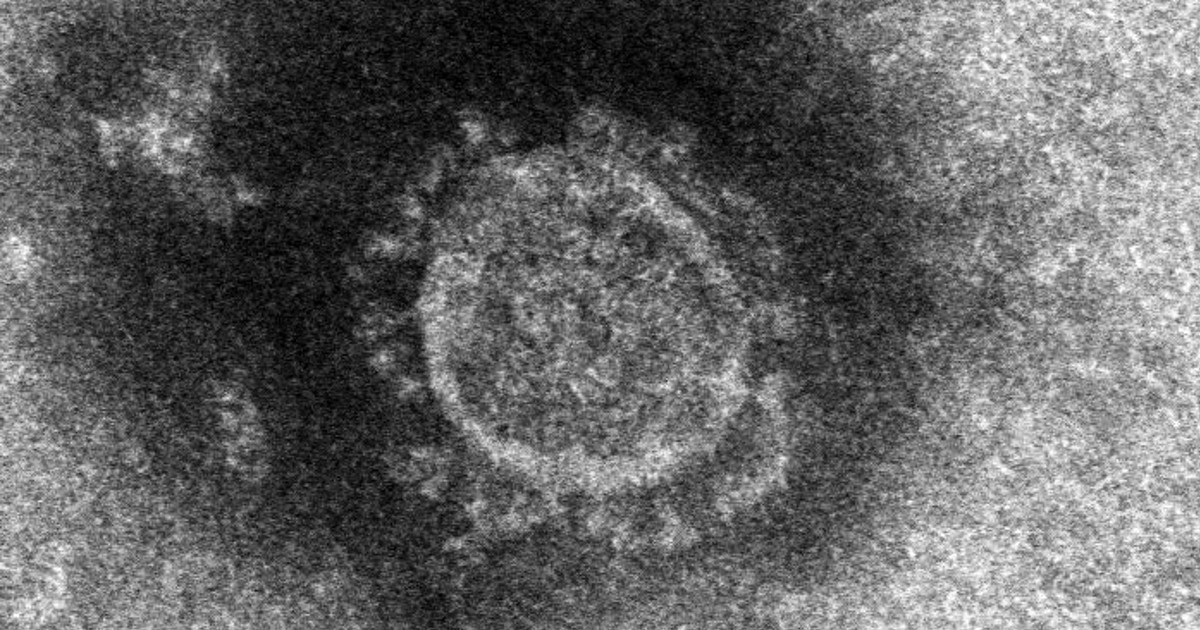 Omicron believed to have higher death rate than influenza: Japan health ...