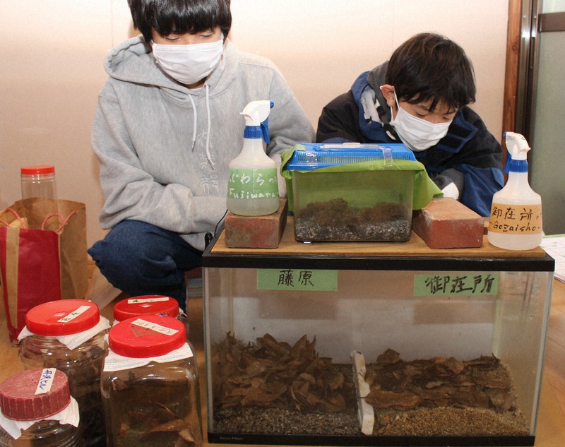 Leeches don't fall from trees: West Japan children's discovery becomes ...