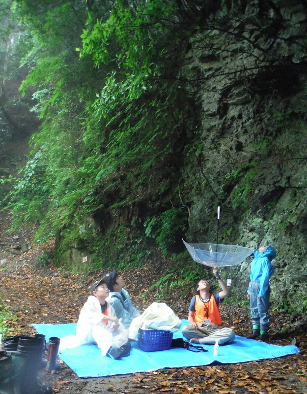 Leeches don't fall from trees: West Japan children's discovery becomes ...