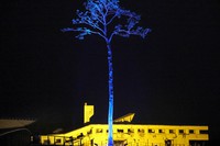 The Mainichi - Japan Daily News