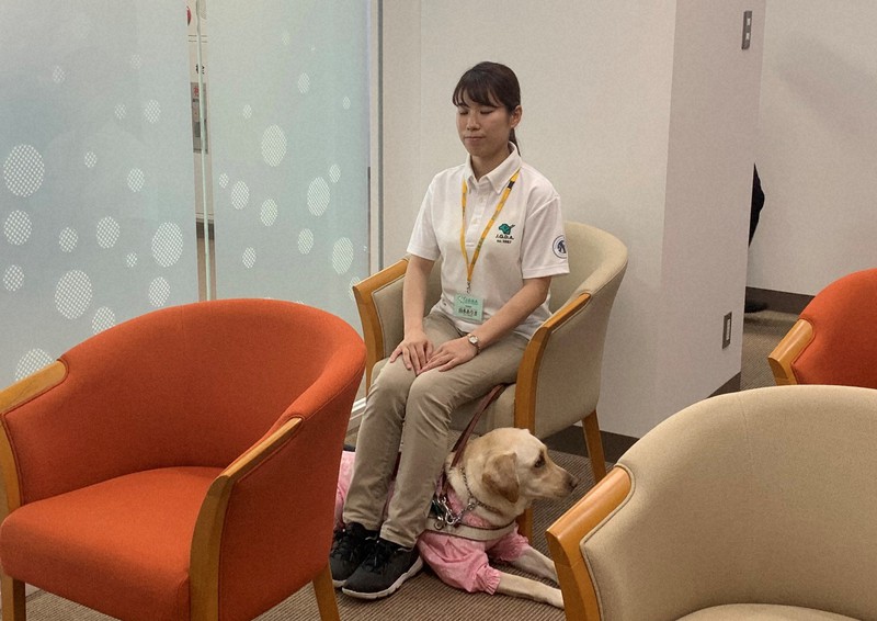Guide dog bans at Japanese vaccine venues, hospitals hit visually ...