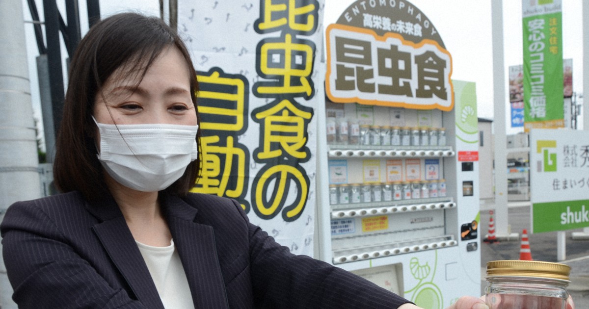 Vending machine selling 'nutritious' insect snacks creates buzz in west ...