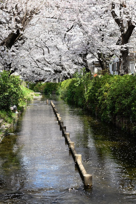 Retro Japan in Photos: Ex-irrigation system near Tokyo now a place to ...