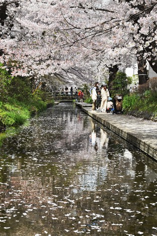 Retro Japan: 17C irrigation system near Tokyo, source of water disputes ...