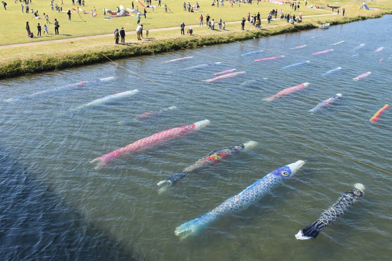 Going against the flow: Carp streamers in west Japan river no fish out ...