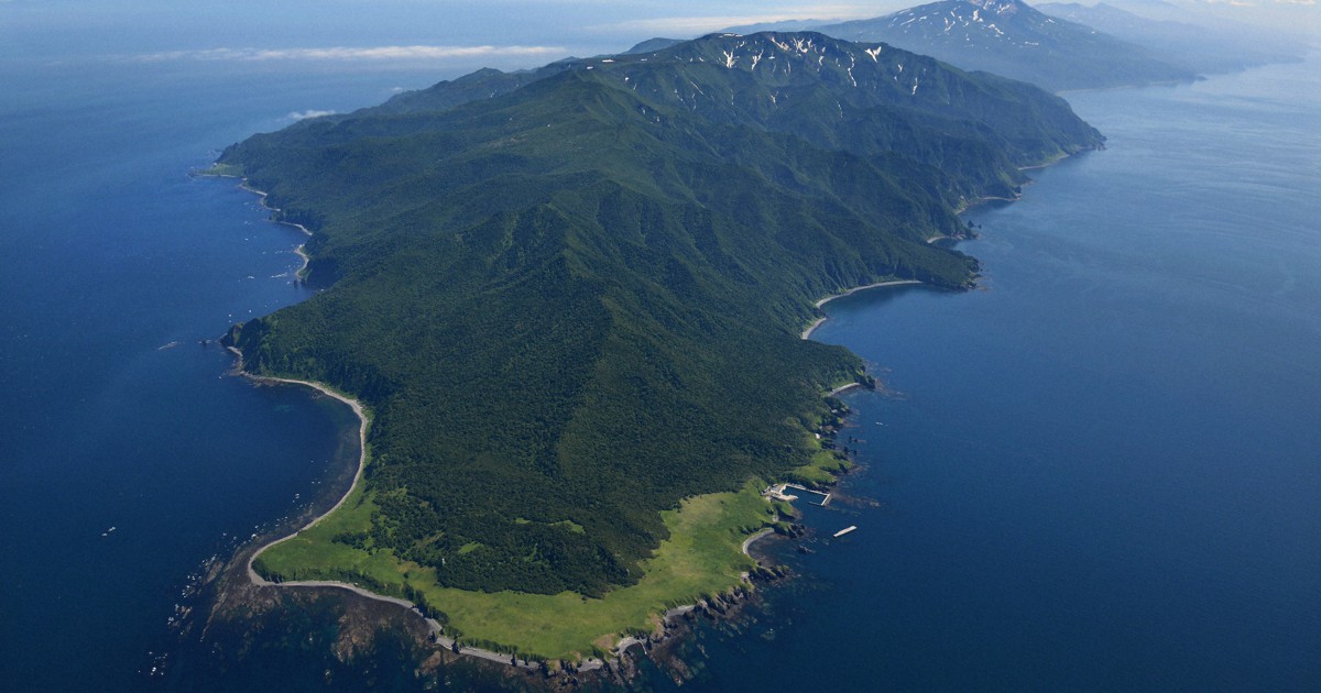 Japanese ID found near body on Russian-held, Japan-claimed island after ...