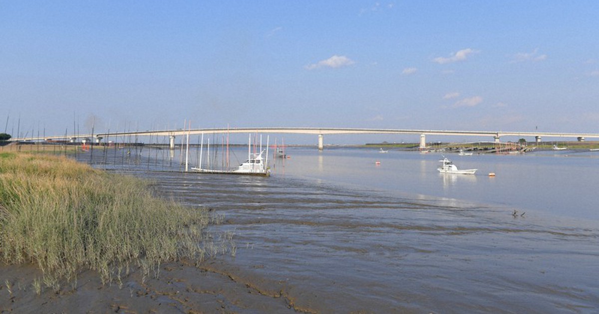 In Photos: Love season arrives for mudskippers in southwest Japan - The ...