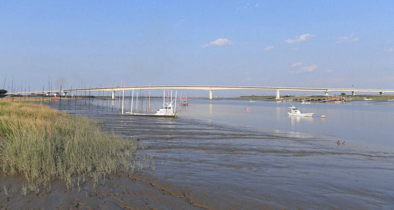 In Photos: Love season arrives for mudskippers in southwest Japan - The ...