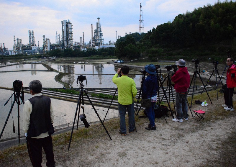 Japanese oil refinery reflected in rice paddies has photographers fired ...