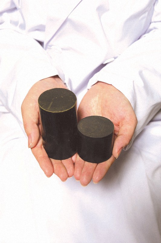 Japanese firms look to plant-based, carbon-neutral 'biocoke' fuel to ...