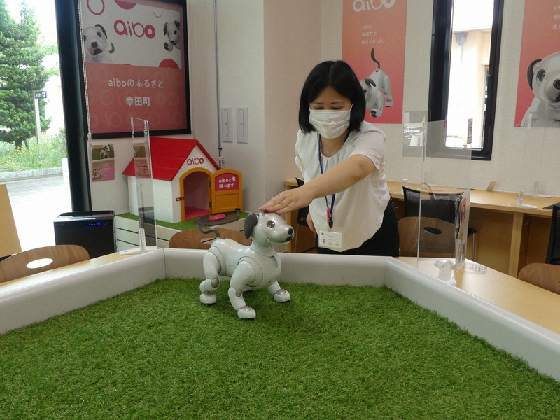 Lapping it up: Robot dog 'aibo' a hit at central Japan cafe - The Mainichi