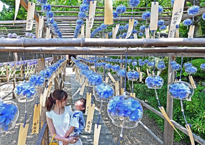 In Photos: Japanese wind chimes decorate Kyoto temple - The Mainichi