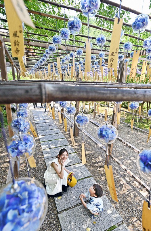 In Photos: Japanese wind chimes decorate Kyoto temple - The Mainichi