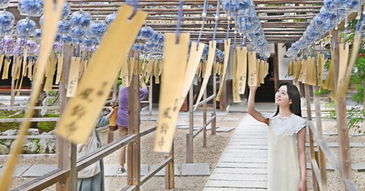 In Photos: Japanese wind chimes decorate Kyoto temple - The Mainichi