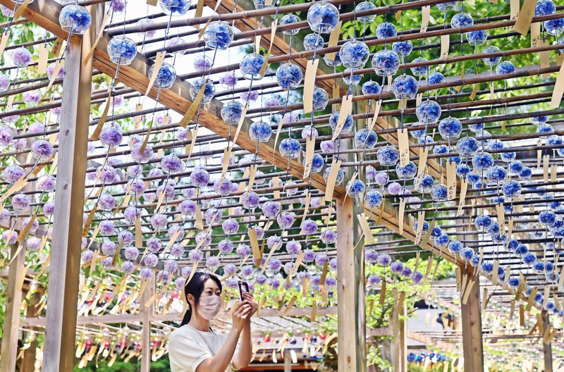 In Photos: Japanese wind chimes decorate Kyoto temple - The Mainichi