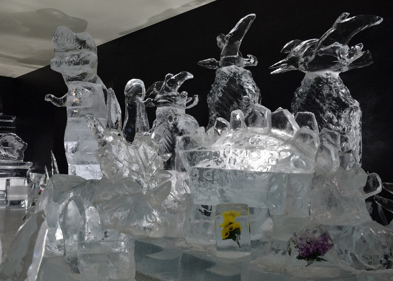 Sub-zero art: Ice sculptures of tyrannosaurus, 14 other dinosaurs ...