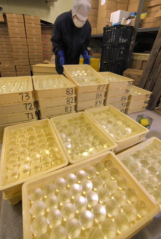 In Photos: 'Ice flowers' flourishing as Japan seeks to beat summer heat ...