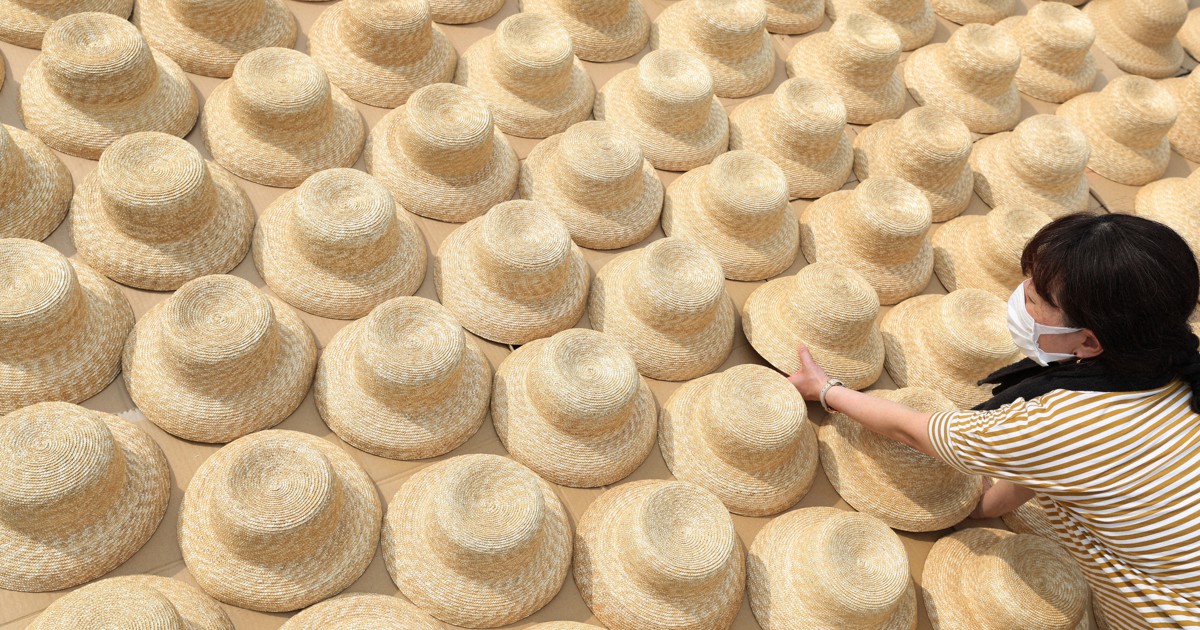 Japan Photo Journal: Straw hats dried for shipment in midsummer heat ...