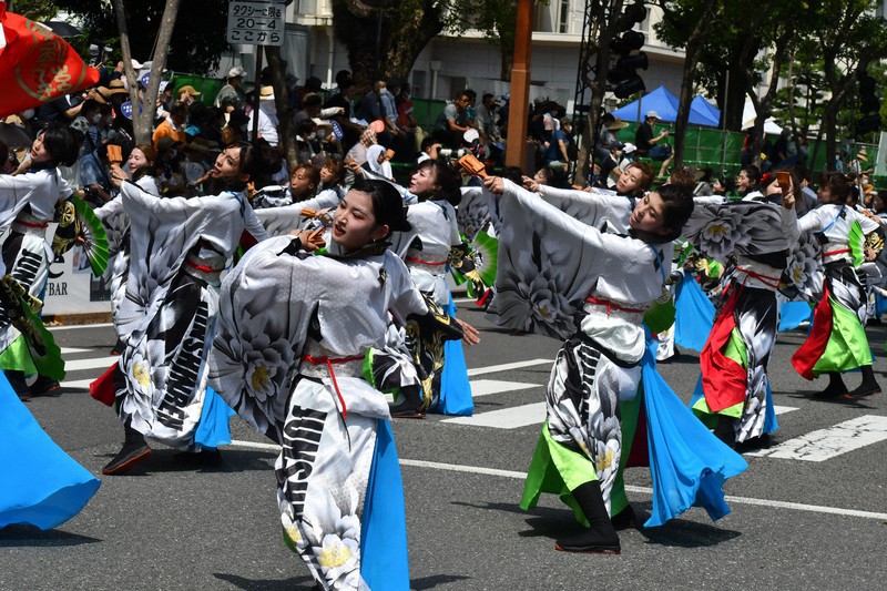 In Photos: Dancers stage strong performance during Yosakoi Festival in ...