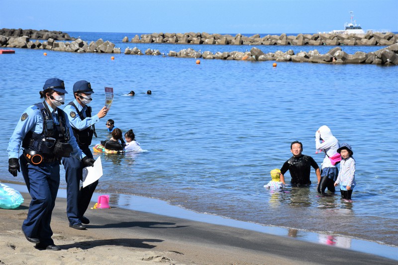 Swimmers bitten in string of dolphin attacks at Sea of Japan beaches ...