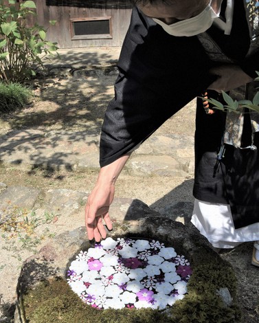 Colorful floating flowers greet visitors to west Japan temple - The ...