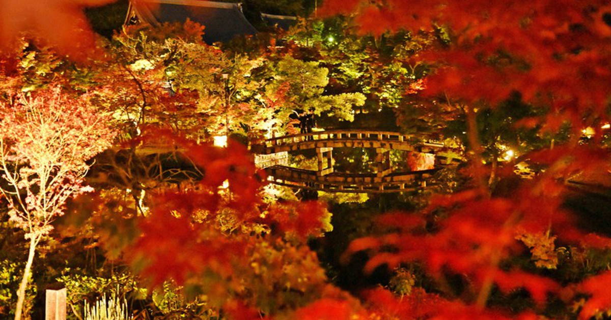 In Photos: Kyoto temple ablaze with fall colors in nighttime lighting ...