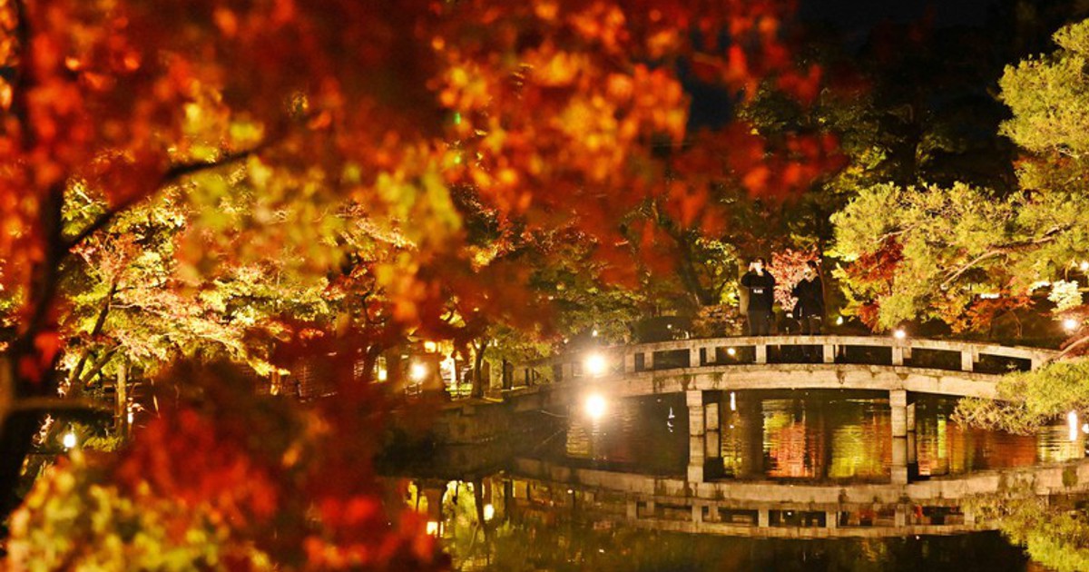 In Photos: Kyoto temple ablaze with fall colors in nighttime lighting ...