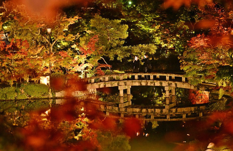 In Photos: Kyoto temple ablaze with fall colors in nighttime lighting ...
