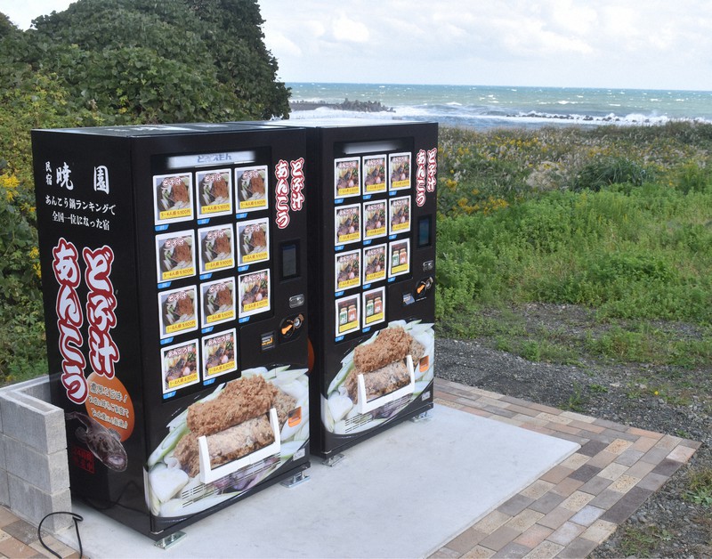 Frozen deep-sea fish vending machines debut at Japanese inn - The Mainichi