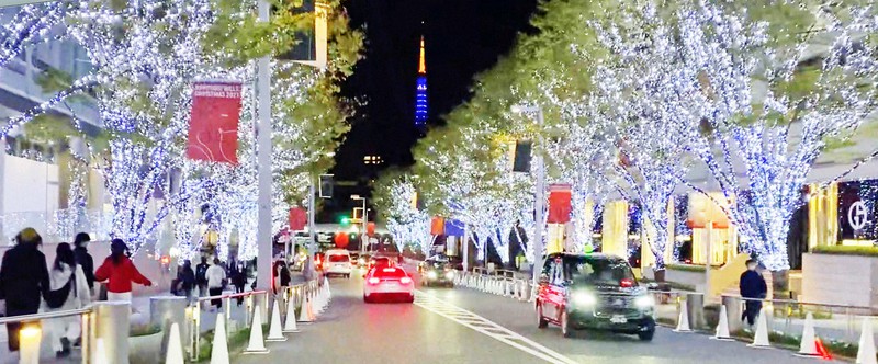 Japan Motorcycle Diaries #6: Tokyo is seriously lit, and 'tis the ...