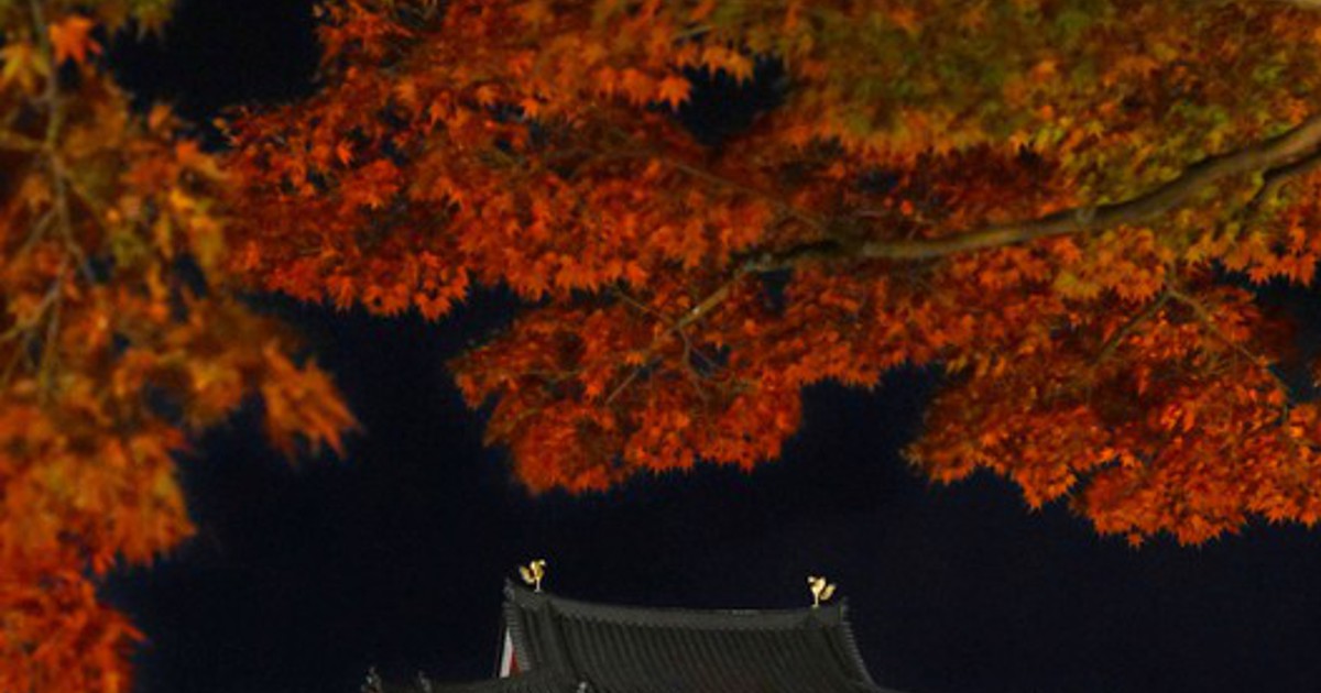 In Photos: Famous Phoenix Hall at Kyoto Pref. temple lit up for fall ...