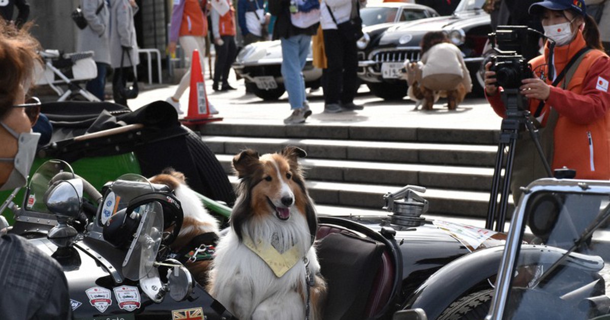 In Photos: 40 classic cars gather in southwest Japan city for 1,000-km ...