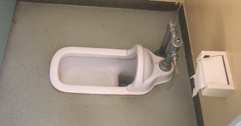 Over 1/4 of primary school kids avoid Japanese squat toilets, causing constipation: survey - The ...