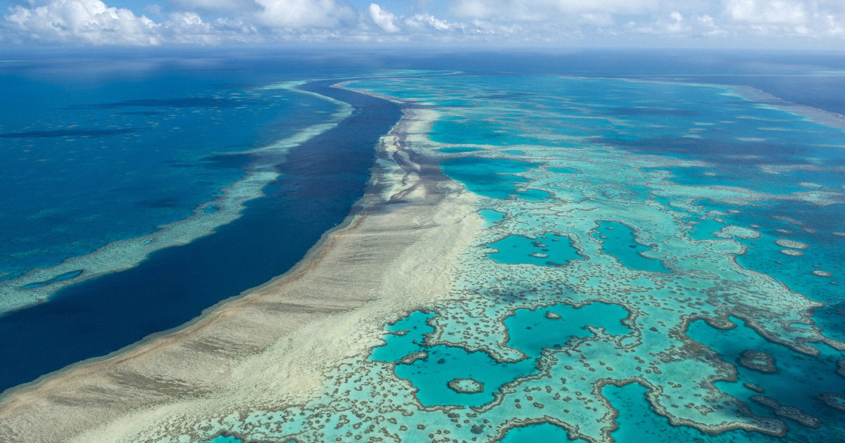 UN: Great Barrier Reef should be on heritage 'danger' list - The Mainichi