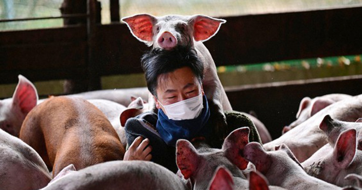 In Photos: Mainichi pictures honored at Kansai press awards - The Mainichi