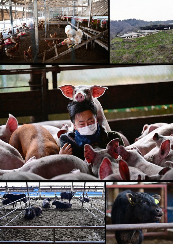 In Photos: Mainichi pictures honored at Kansai press awards - The Mainichi