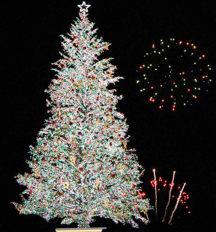 Giant tree, fireworks brighten Hokkaido's Hakodate in 'Christmas ...