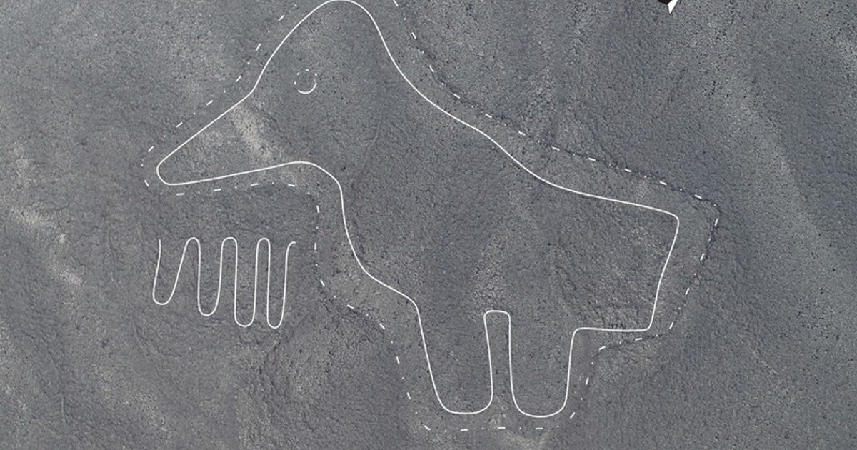 In Photos: 168 additional Nazca Lines geoglyphs uncovered by Japan ...